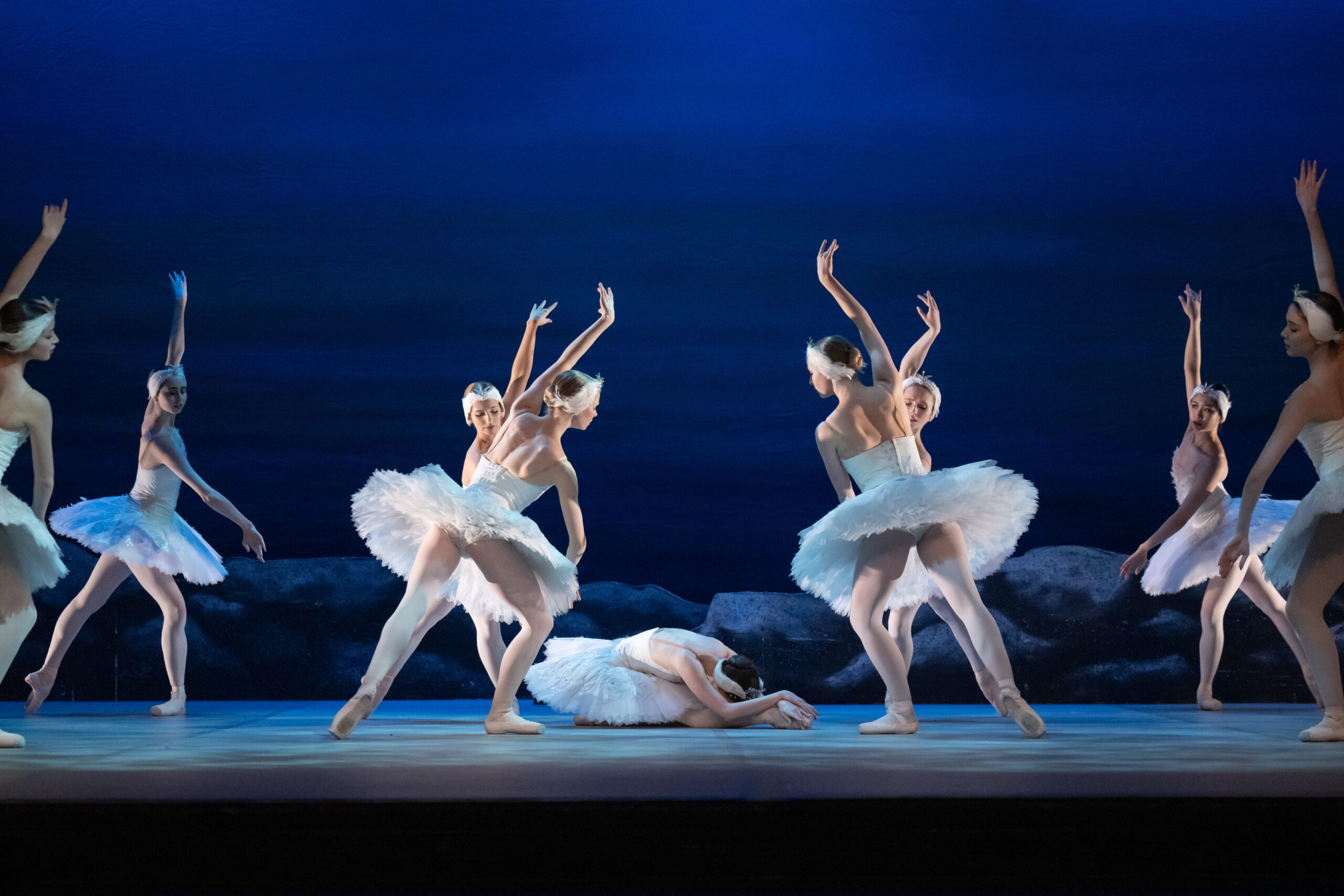 My First Ballet: Swan Lake