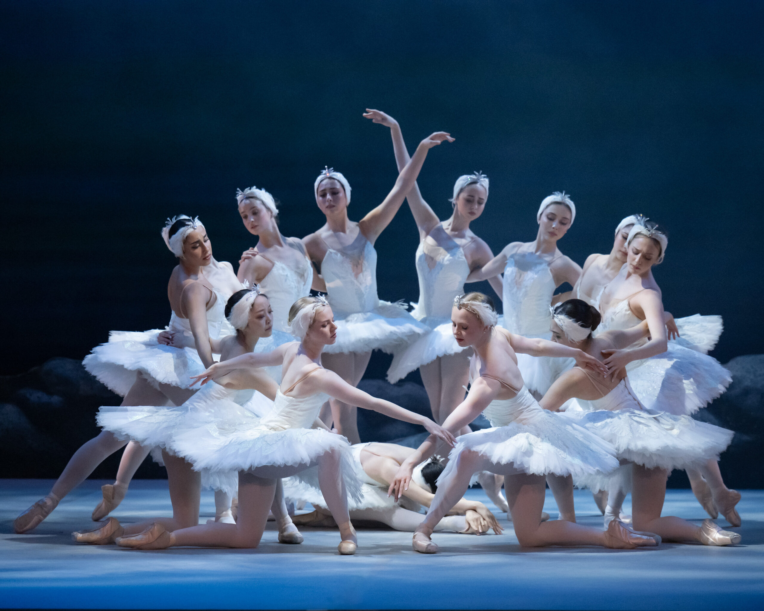 Graceful Finale: My First Ballet: Swan Lake Wraps Up in London